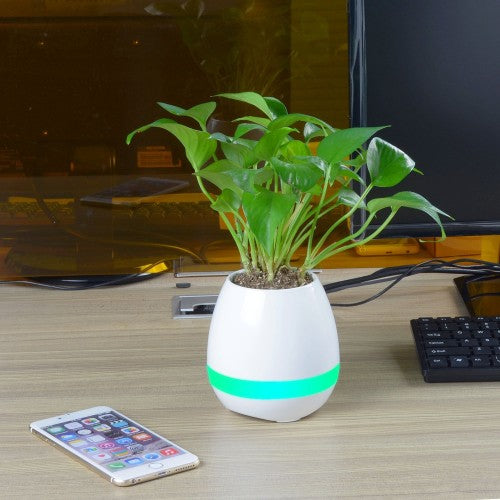 Polaroid Flowerpot Induction Speaker Homemark